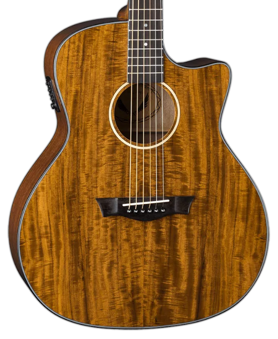 AXS Exotic Cutaway A/E Koa Acoustic (AX E KOA) | P R O V I S I O N